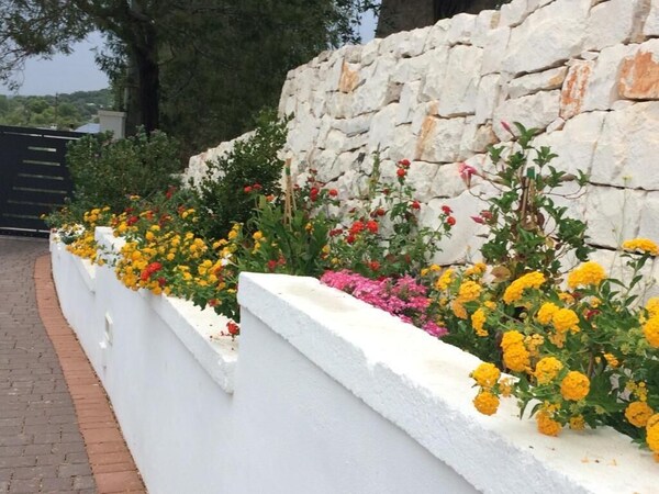 Il Quieto Uliveto: Charming 1-bedroom Trullo With Wifi, Close To Fabulous Ostuni - Ostuni