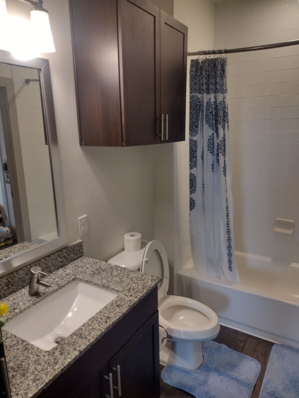 Cozy 1-bedroom Apartment In Welcoming Addison With Fitness Room, Wifi - Lewisville, TX