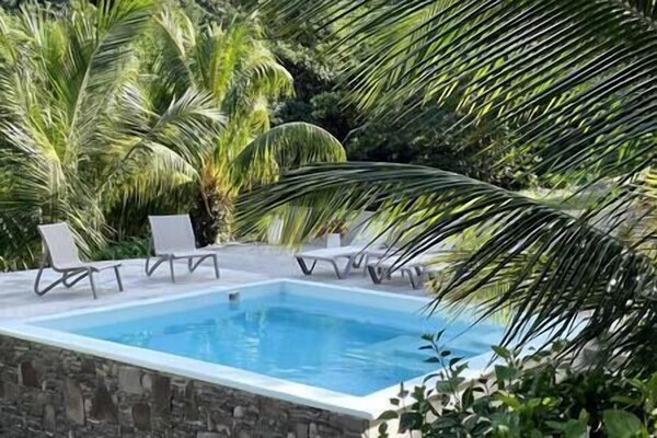 Bougainvillea Garden Caribbean Suite With Pool - Dominica