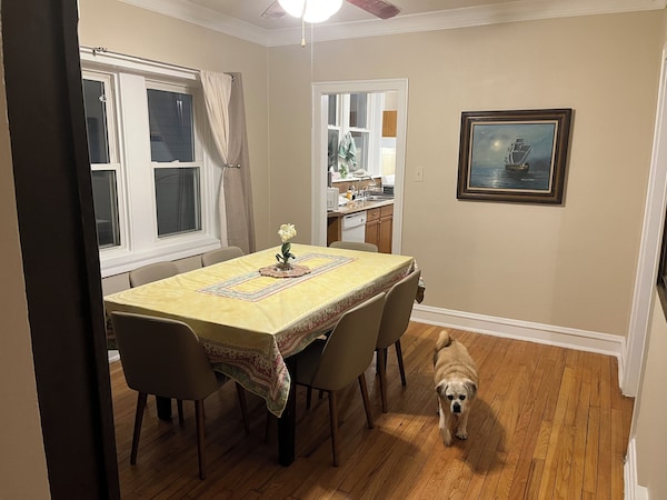 Spacious 2-bedroom Apartment In Forest Park - Chicago O'Hare Airport (ORD)