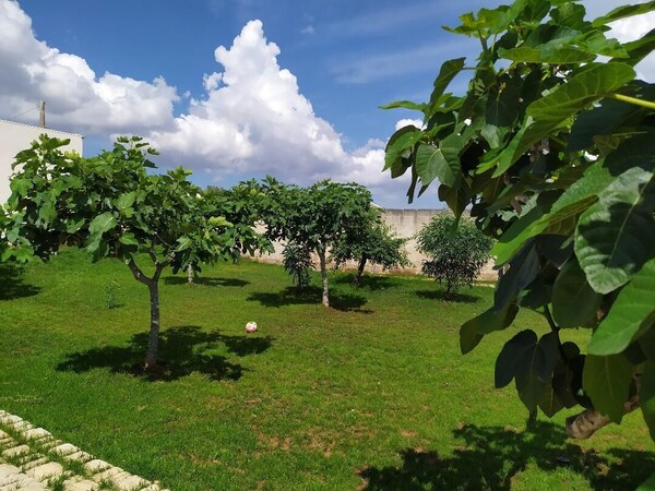 Villa Aurora 2 - Torre Lapillo