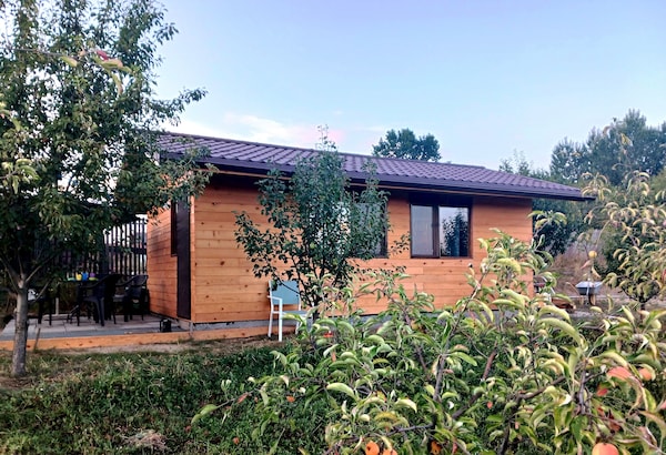 La Livada - Joy / Peace, Privacy, Joy With Family - Curtea de Argeș