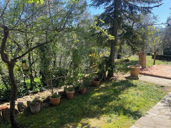 Villa Gallorosso - Chalet In The Green - Florence