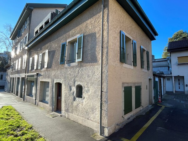 Beautiful Heritage 1 Bedroom Apartment - Carouge
