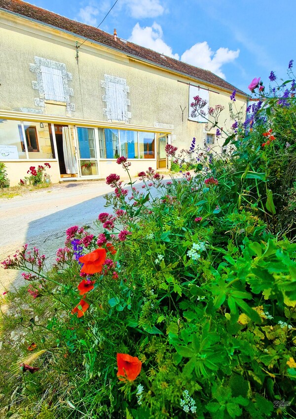 Location De Chambre Bienvenue Chez Mémé Chambre De Dédé - Saint-Fargeau