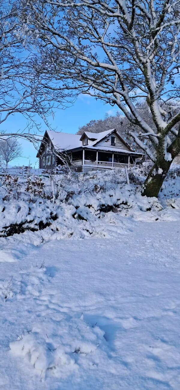 Luxurious Log Cabin Connemara / Westport - Mayo