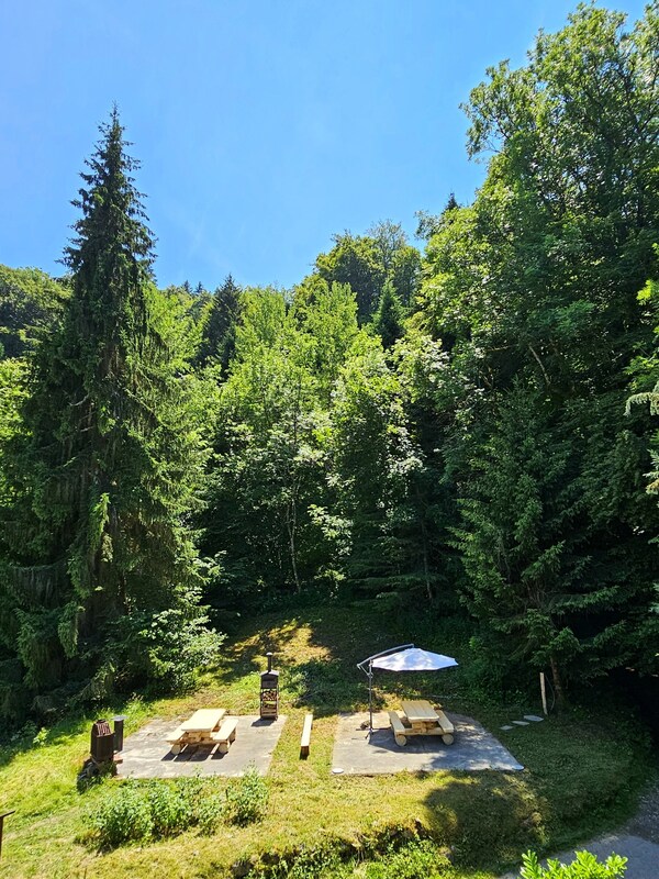 Summer/winter Rental, Cosy Apartment Haute-savoie - Peaceful Location - Friends/family - Flaine