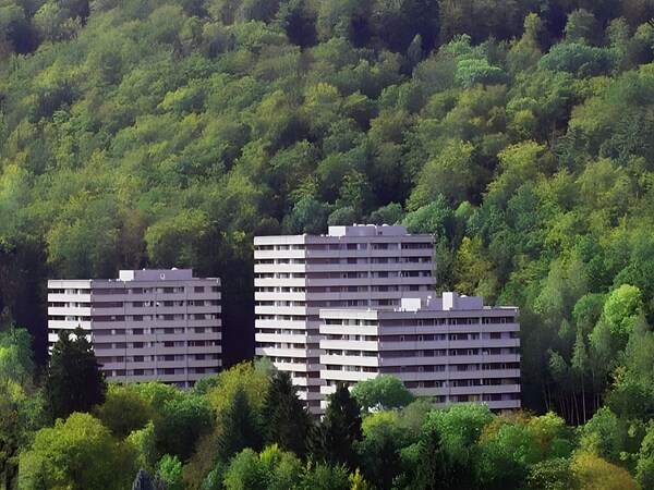 Apartment 'Harz Mit Elan' With Mountain View, Balcony And Wi-fi - Goslar