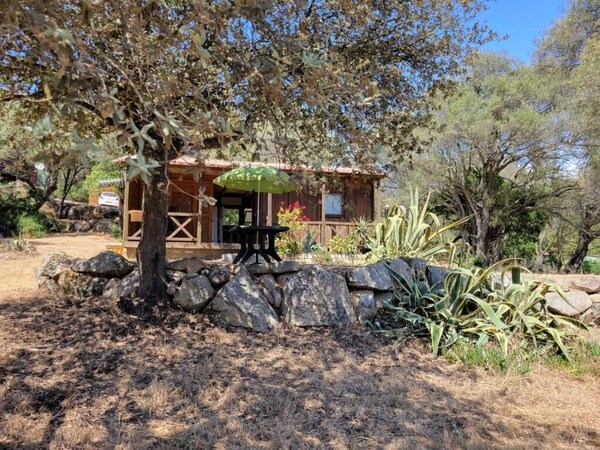 Chalet Cosy - U Nestru - Propriano