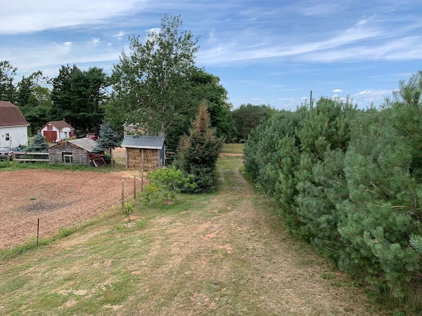 Grey Bear Cottage - Prince Edward Island