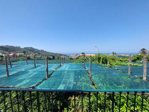 The Pozzillo Maison: Apartment Nerano And Punta Campanella - Kampanien