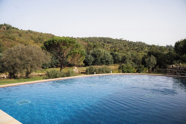 Stunning 10 Bedroom Quinta, Sleeps 20 Escape To Nature For The Perfect Getaway. - Carregal do Sal