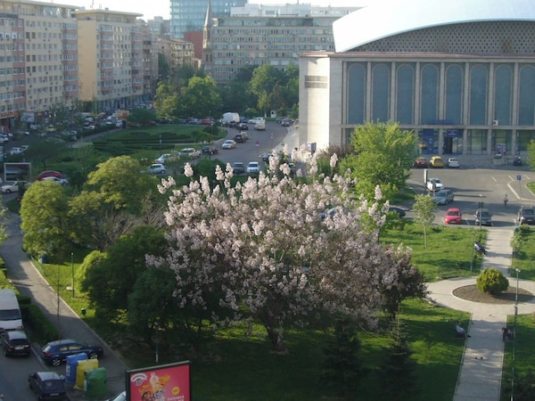 Twin 3 Apartment - Cismigiu Gardens - Bucharest