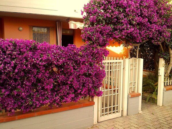Ferienwohnung 'Il Giardinetto' Mit Privater Terrasse Und Privatem Garten - Capoliveri