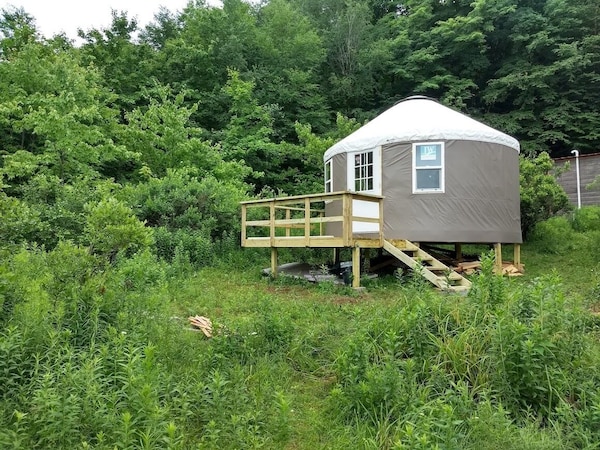 Western Catskills Yurt - Livingston Manor, NY