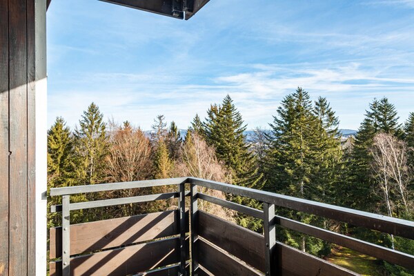 Ferienwohnung 'Fuchsenstein-foxy' Mit Bergblick, Gemeinschaftsgarten Und Balkon - Grafenau