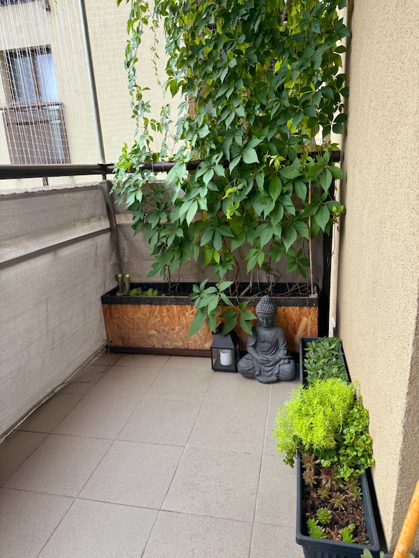 Charming 1-bedroom Apartment In Amazing Târgu Mureș-eon Area - Târgu Mureș