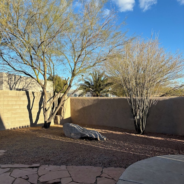 Hot Tub Stargazing, Pet Friendly! Downtown And Hiking Nearby. - Casino Del Sol