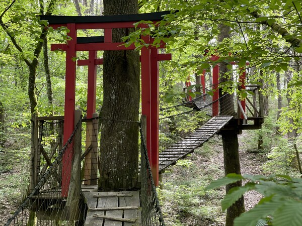 La Cabane Zen  Escapade Unique Perchée à 8m Dans La Forêt, Pont Suspendu, Terrasse Et Activités - Dordogne