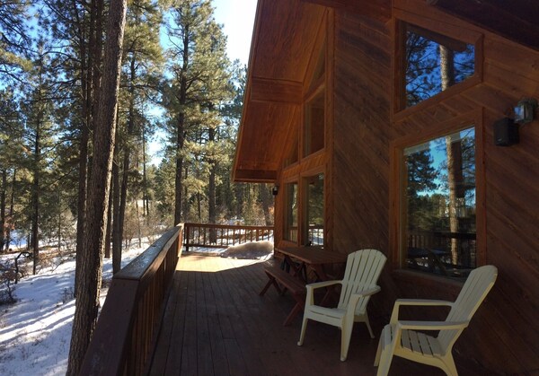 Hillside Custom Built 2-bdrm Home In The Pines. Views, Privacy, 3miles From Town - Pagosa Springs, CO