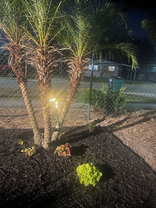 The Secret Garden Games Getaway 4 Bedroom Home - Orlando