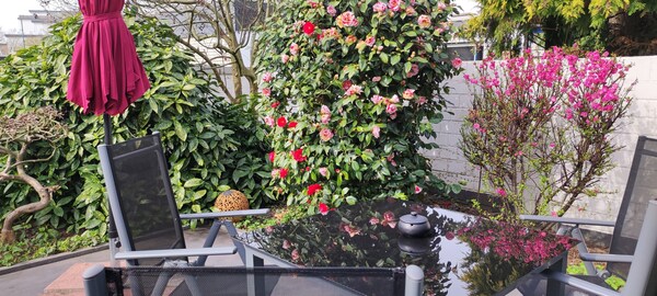Modern House 90sqm 2-room. S-w-terr. Near Düsseldorf - Düsseldorf