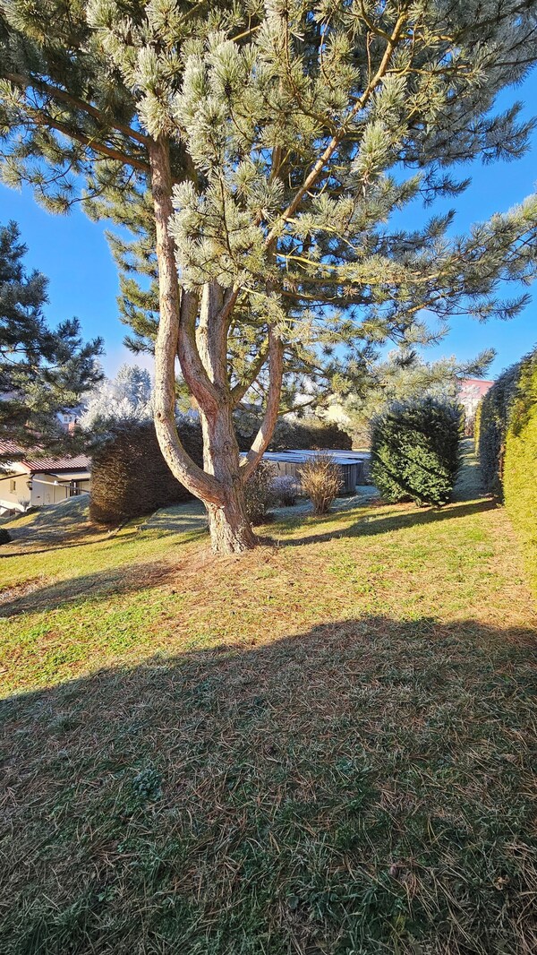 Ferienhaus Arno - Thüringer Wald - Friedrichroda