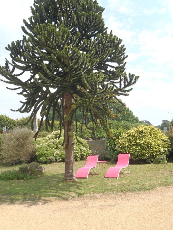 Bright House On Enclosed Grounds Of 900m2, Near The Port And Beach Of Ploumanach - Perros-Guirec