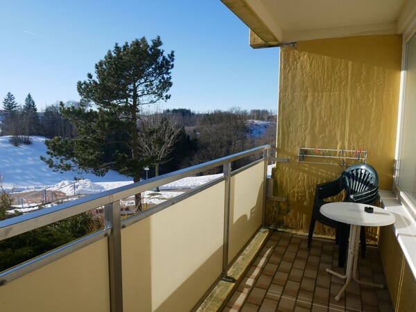 Panoramic Hohegeiß, Apartment 374 With Swimming Pool And Sauna - Braunlage