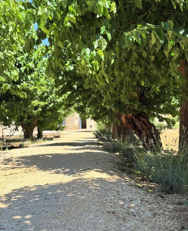 Domaine De Maurel - Saint-Maximin-la-Sainte-Baume