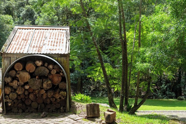 Secluded Rainforest Retreat Surrounded By Nature! - 