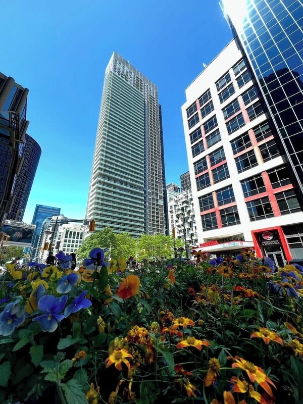 Tripshine Dt Executive  3br/2ba King Bed  Parking Lakeview - Toronto