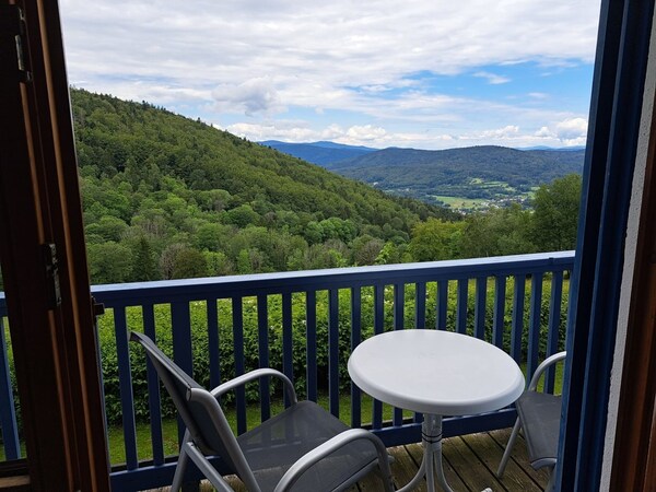 Ferienwohnung/app. Für 3 Gäste Mit 35m² In Schöfweg (271303) - Bischofsmais