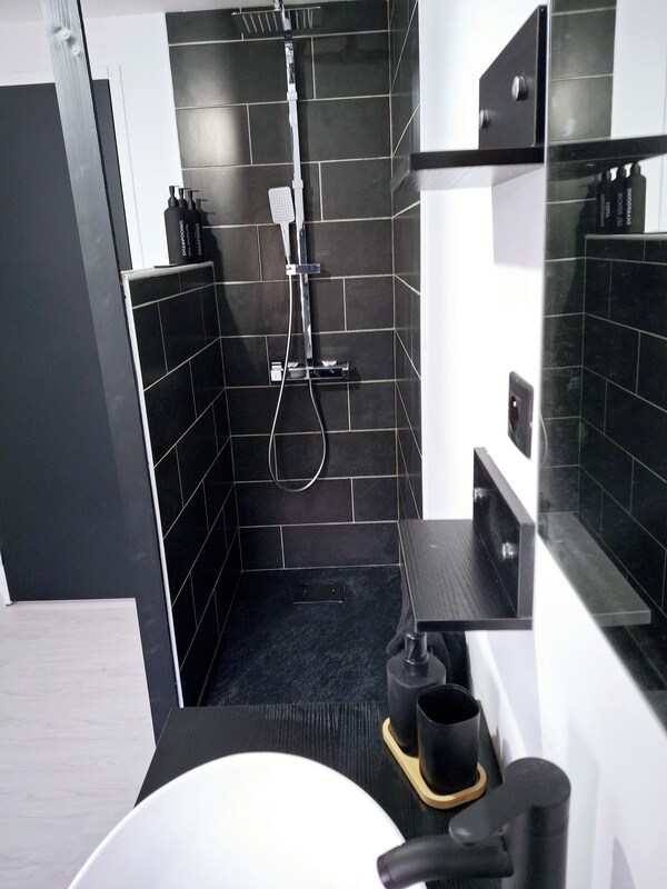 Appartement Avec Salle De Cinéma Privée - Aulnoye-Aymeries