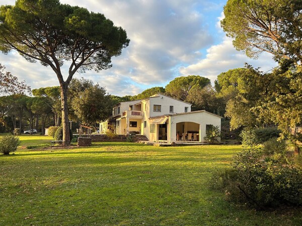 Atypical Gîte In The Heart Of The Maures Nature Reserve - Var