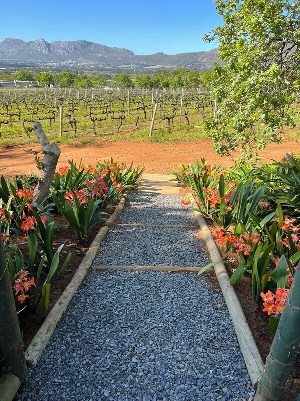 Charming 2 Bed Retreat With Stunning Views Across Groot Constantia Wine Valley - 케이프타운