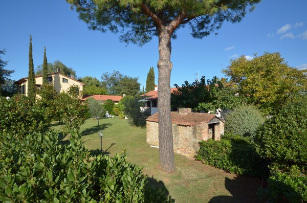 Two-room Apartment In The Countryside With Terrace... Near The Sea "Green" - Cecina
