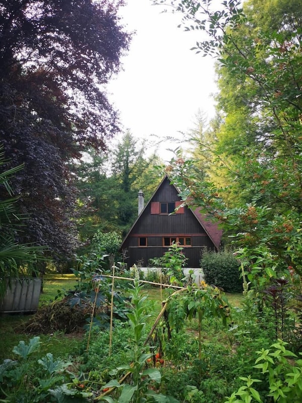Le Chalet - Pinsac - Gîte - Payrac