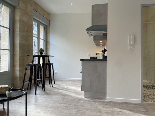 Superb Flat With Air Conditioning And Beautiful Bordeaux Stone For 2p - Bordeaux