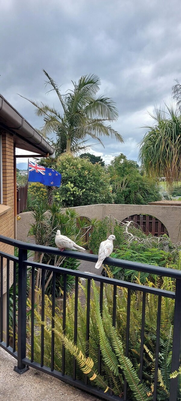 New Haleys Cabin. Bedroom With Queen Bed And Ensuite Only. Superb Pool & Cabana. - Tauranga