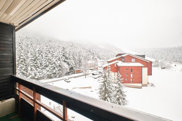 Studio Appartement 'Herboully' Met Uitzicht Op De Bergen En Privé Terras - Corrençon-en-Vercors
