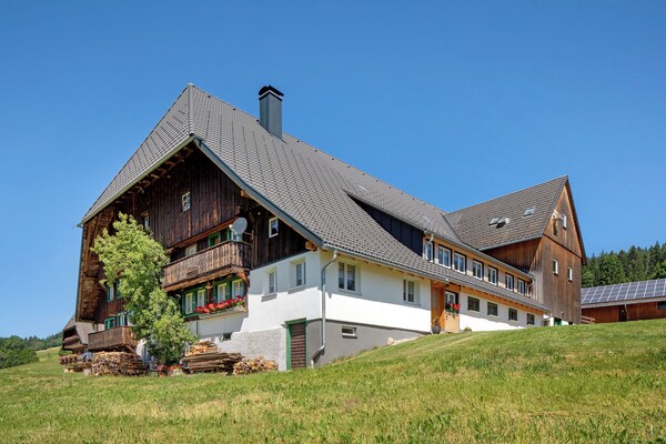 Appartement "Hanisenhof" Avec Vue Sur Les Montagnes, Jardin Partagé Et Wi-fi - Titisee-Neustadt