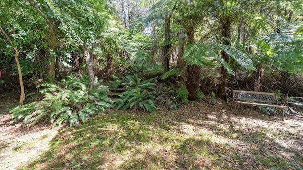 Ferntree Cottage In Blackheath - Blackheath