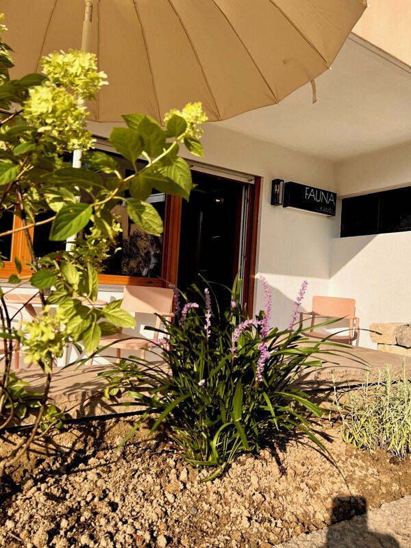 Designapartment Mit Terrasse Fauna, 30qm, 1 Schlafzimmer, Max. 2 Personen - Offenburg