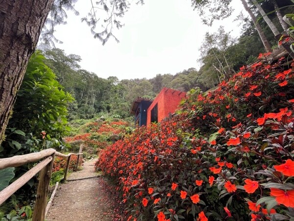 Charming Cottage Montserrat In The Mountains Fabulous Floridablanca With Wifi - Santander