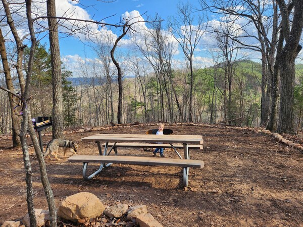 Serene Primitive Tent Campsite In Rural Anniston, Al - Alabama