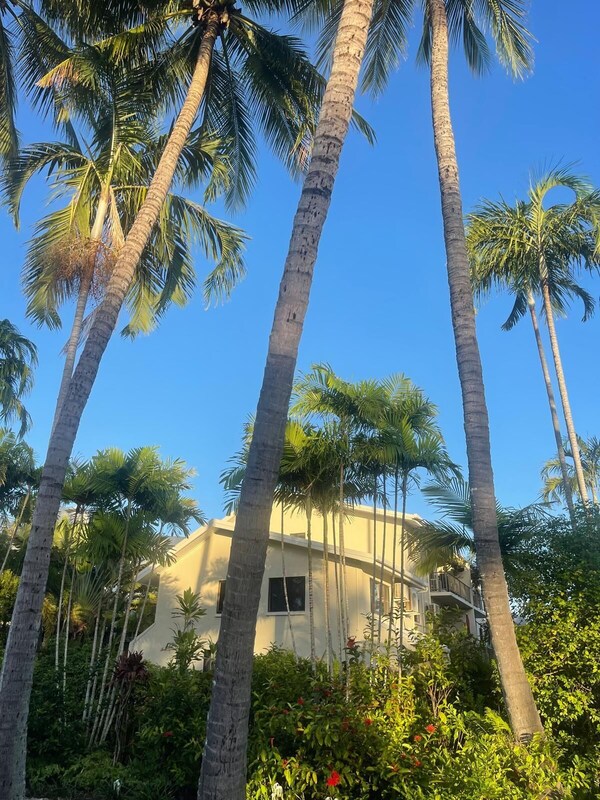 2-bedroom Apartment, Steps From The Beach & Shops - Port Douglas