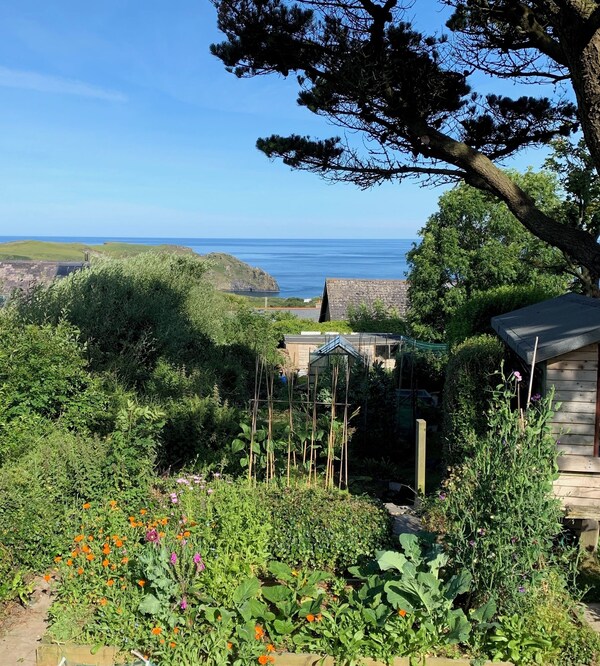 Quiet Chalet With Beautiful Rural And Sea Views Near St Nectan's Waterfall. - Tintagel