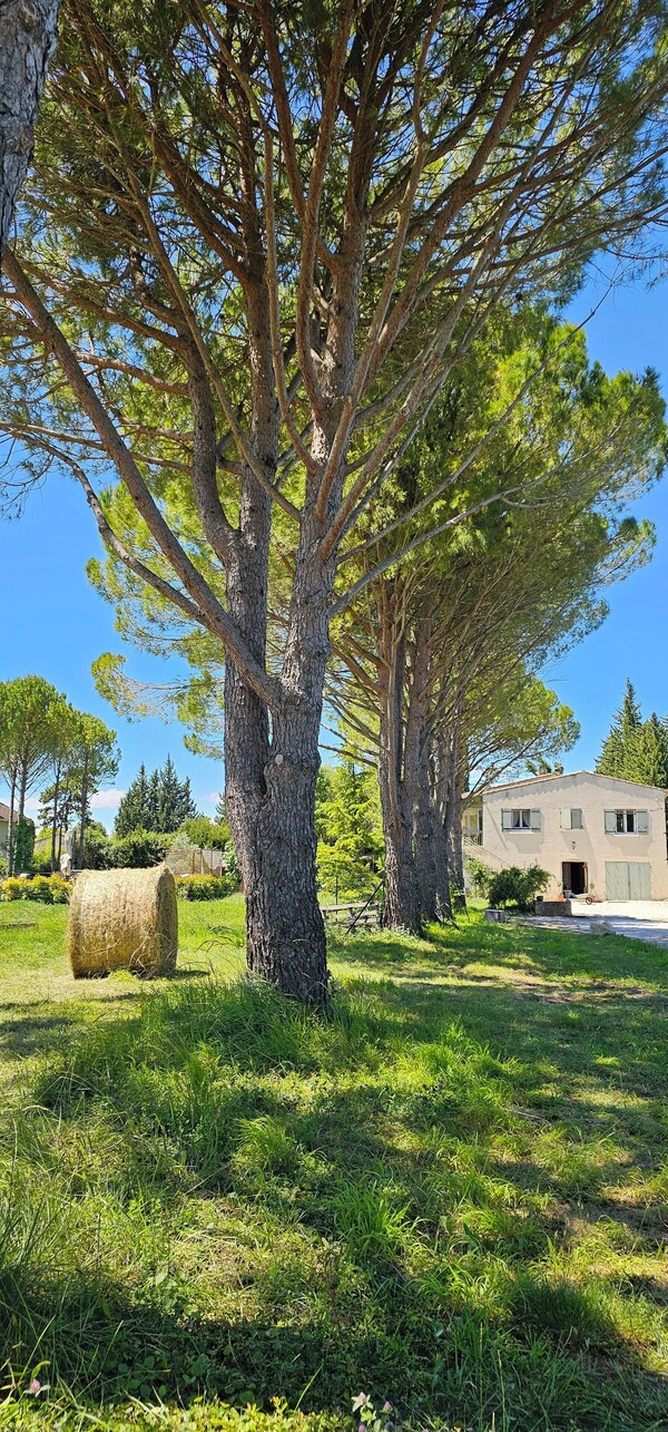 La Bastide Des Oliviers\ngîte Provençal Avec Piscine  Au Coeur D'1 Ha De Verdure - Monteux