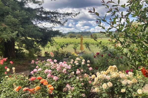 Vinehaven - 3bd Healdsburg Retreat With Spa - Healdsburg, CA